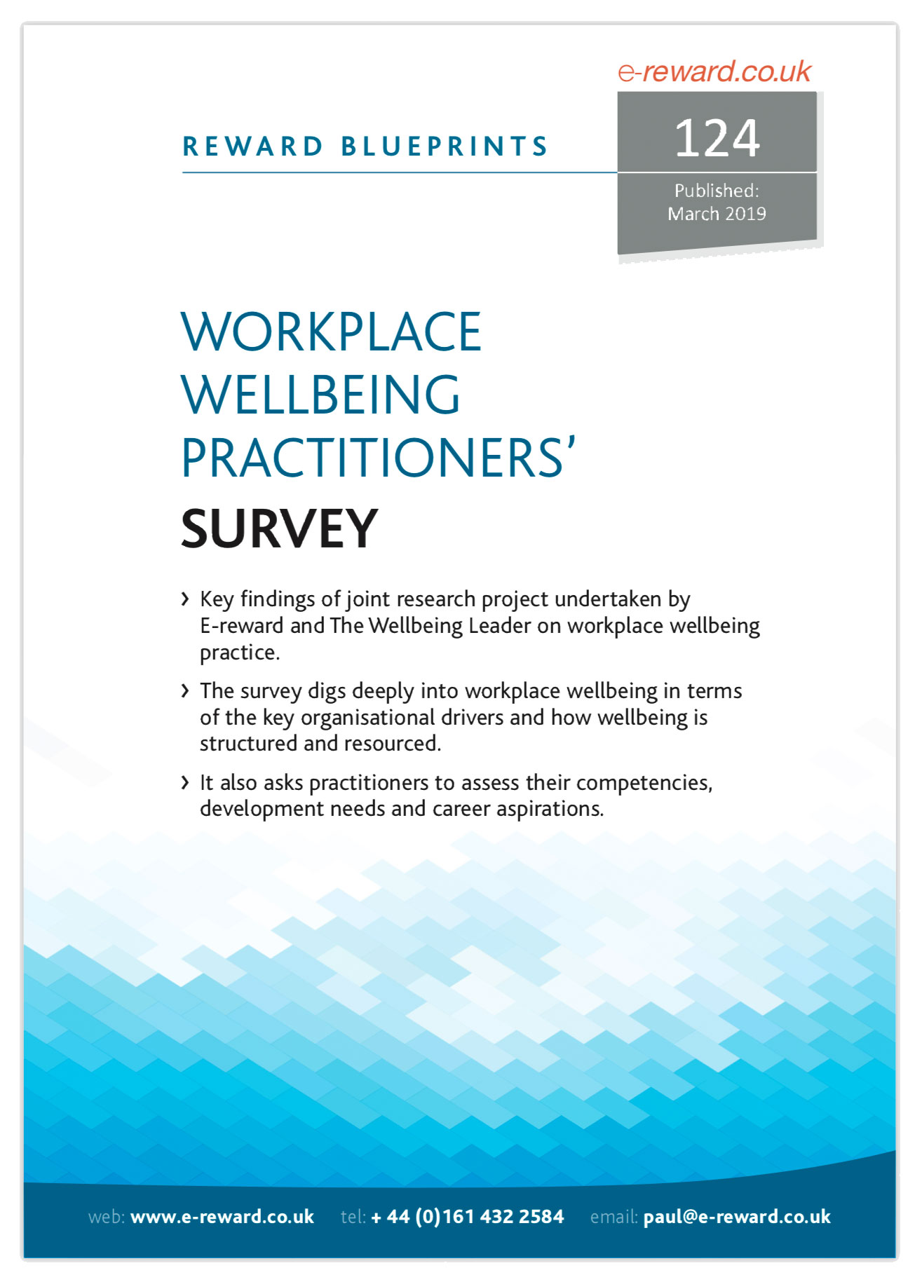 2019 Wellbeing Workplace Practitioners Survey - The Wellbeing Leader